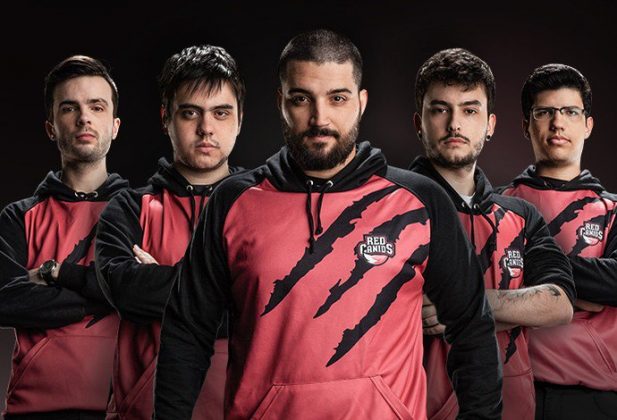 Red Canids ultrapassa paiN Gaming em “torcidômetro” - Mais Esports