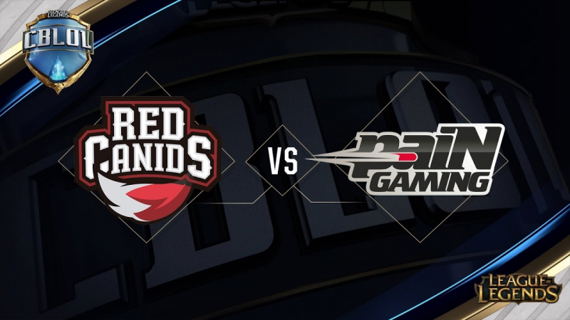 Pré-Jogo: Red Canids vs paiN Gaming - Mais Esports