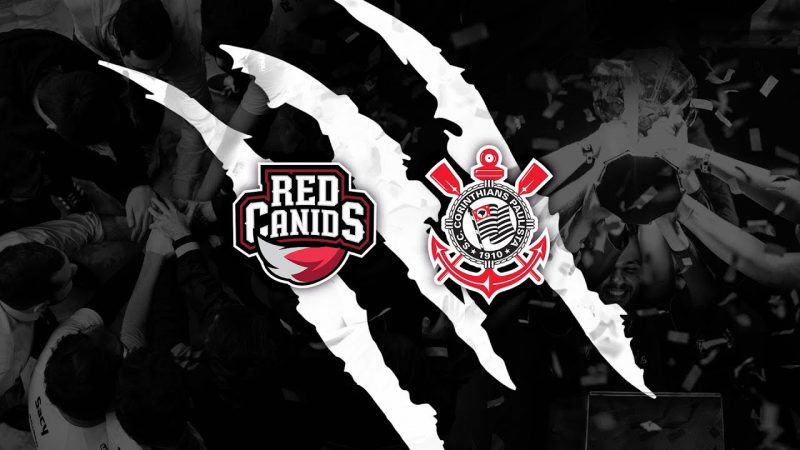 RED Canids anuncia fim da parceria com o Corinthians - Mais Esports