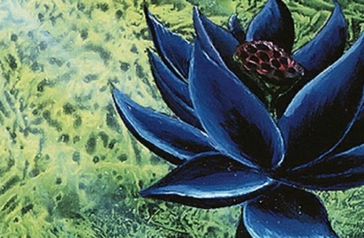Carta “Black Lotus” do Magic: The Gathering: é vendida por R$ 2,8 ...