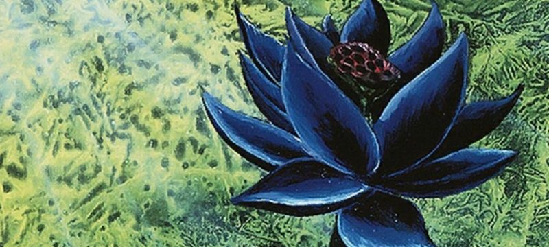 Carta “Black Lotus” do Magic: The Gathering: é vendida por R$ 2,8 ...