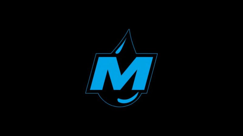 VALORANT: Elenco da Moist Esports custou US$ 500 mil - Mais Esports