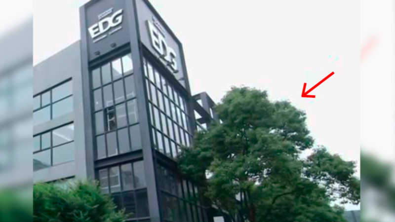 LPL 2023: Fã sobe em árvore para filmar Uzi em GH da EDG - Mais Esports