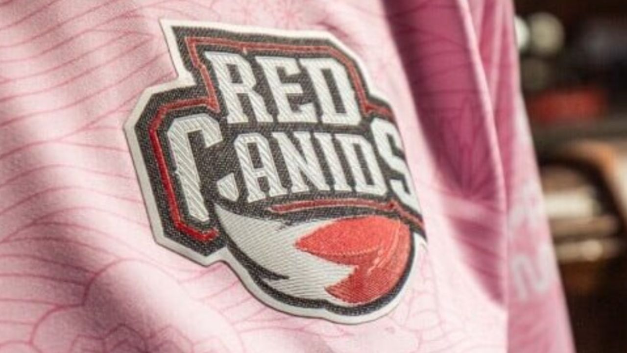 “Isso não é sobre a RED, mas sim, sobre o todo”, diz Sté sobre RED MIA - Mais Esports